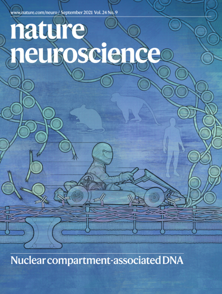 Nature Neuroscience
