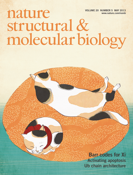 Volume 20 Issue 5, May 2013