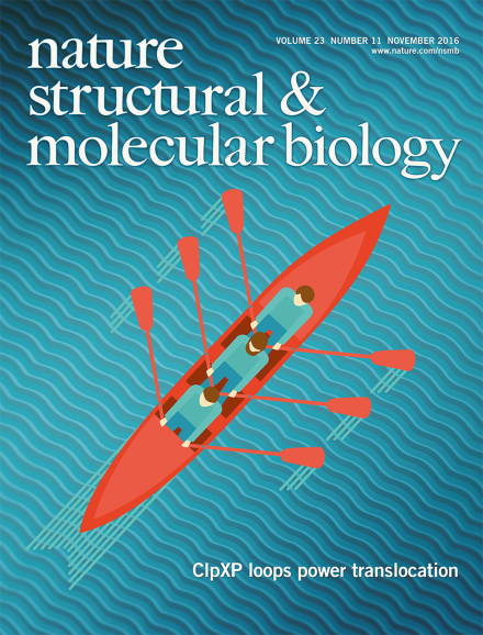 Volume 23 Issue 11, November 2016