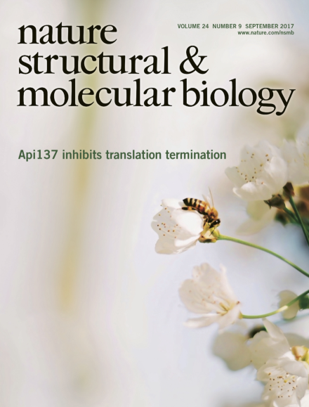 Volume 24 Issue 9, September 2017