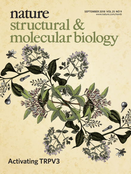 Volume 25 Issue 9, September 2018