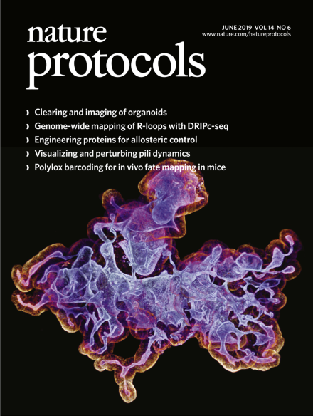 Volume 14 Issue 6, June 2019