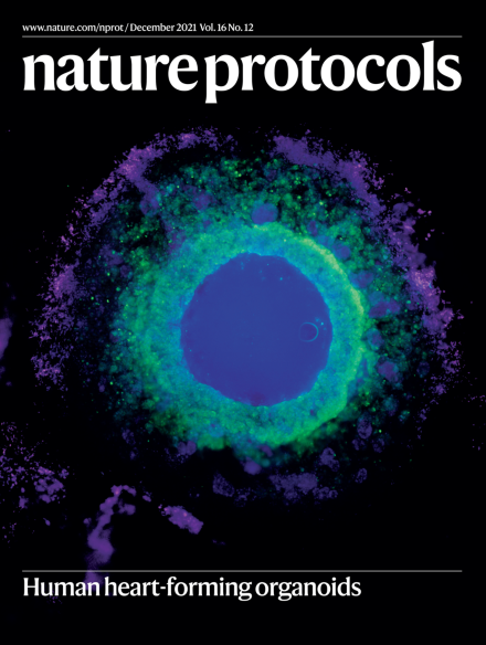 Volume 16 Issue 12, December 2021