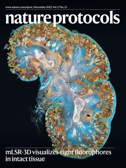 Volume 17 Issue 12, December 2022