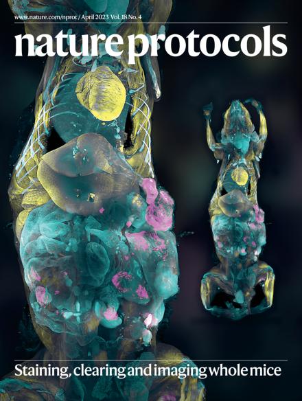 Volume 18 Issue 4, April 2023