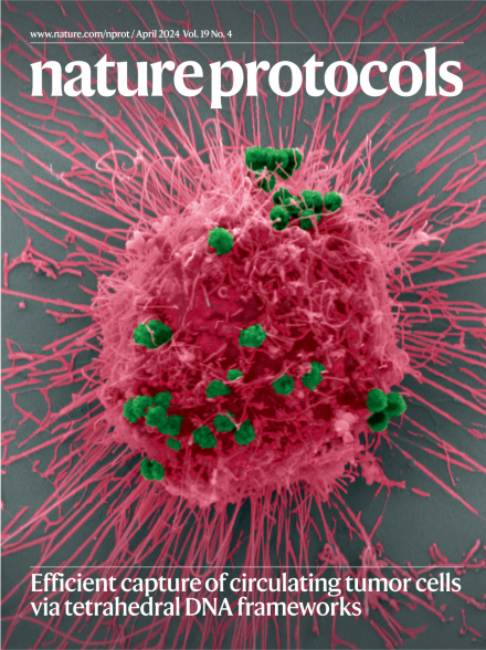 Volume 19 Issue 4, April 2024