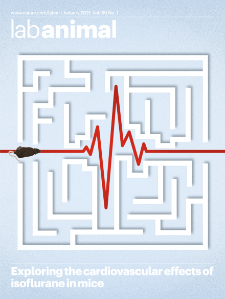 Volume 50 Issue 1, January 2021