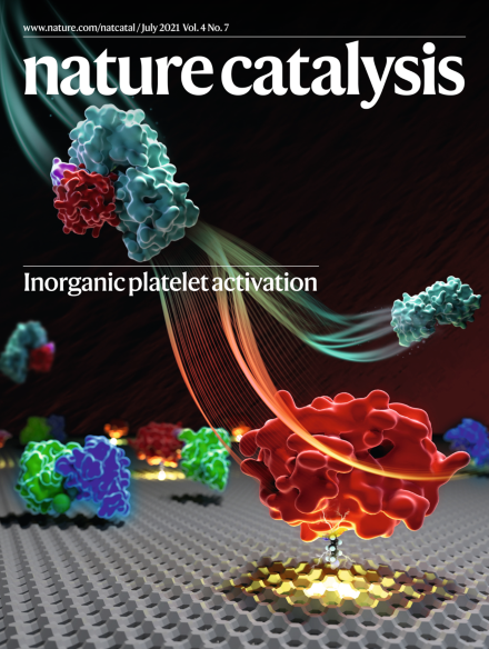 Nature Catalysis