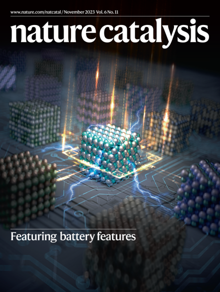 Nature Catalysis