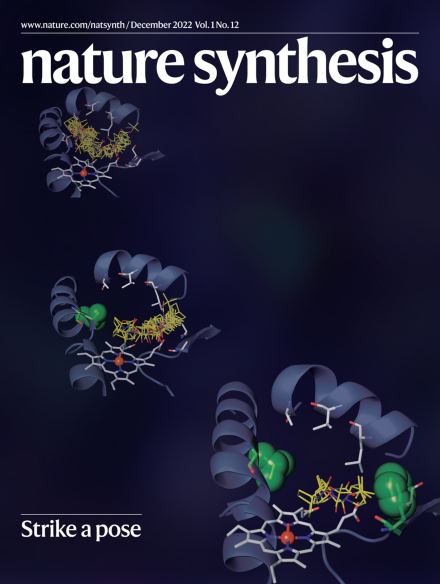 Nature Synthesis