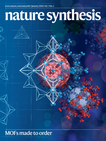 Nature Synthesis