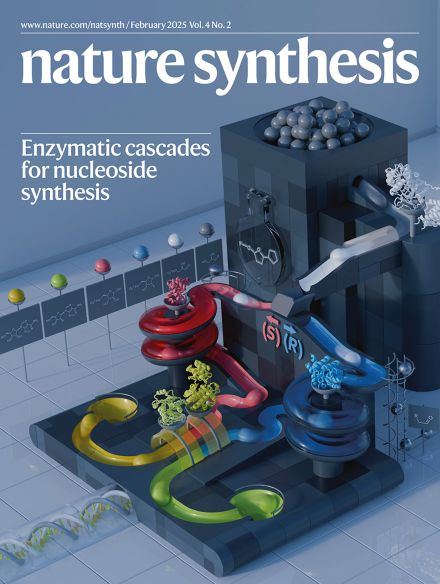 Nature Synthesis