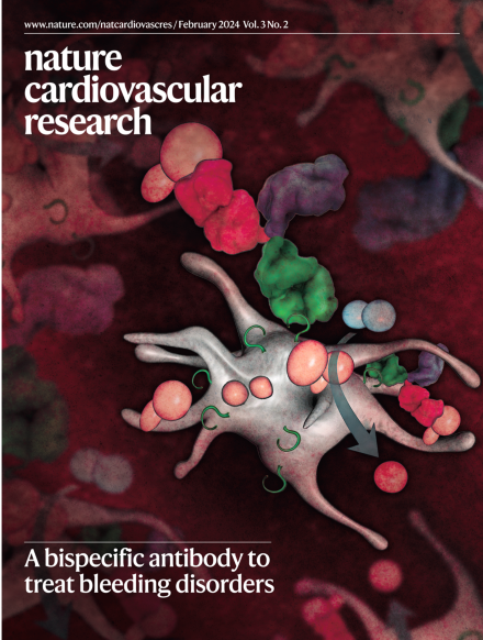 Nature Cardiovascular Research