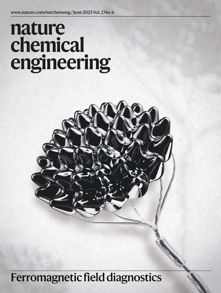 Nature Chemical Engineering