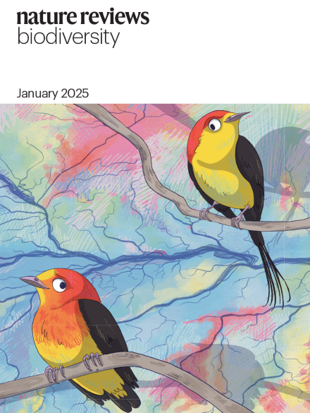 Volume 1 Issue 1, January 2025