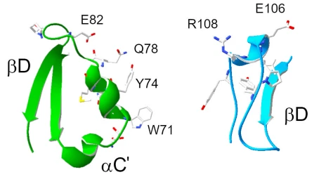 Home | Immunogenetics