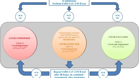 Updates | EPMA Journal
