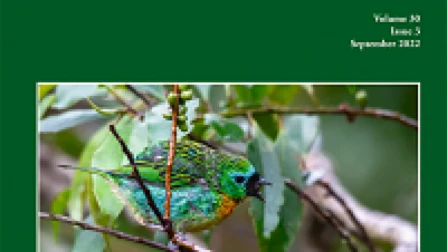 Home | Ornithology Research