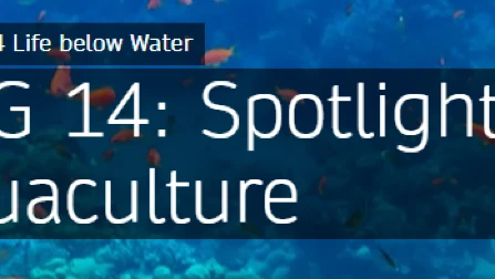 Updates | Aquaculture International