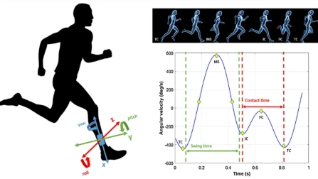 Home | Sports Engineering