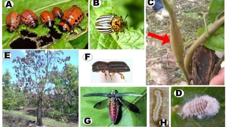 Home | Arthropod-Plant Interactions | Springer Nature Link