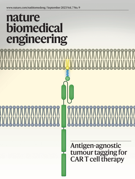 Subscribe to Nature Biomedical Engineering