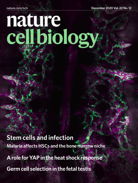 Subscribe to Nature Cell Biology