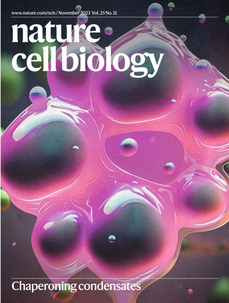 Subscribe to Nature Cell Biology