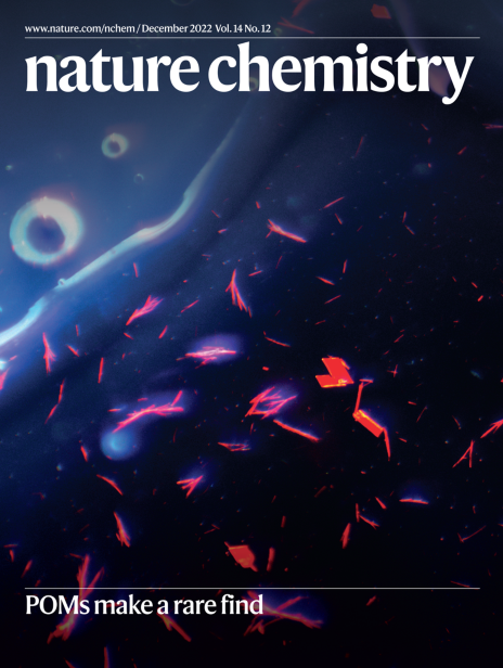 Subscribe to Nature Chemistry