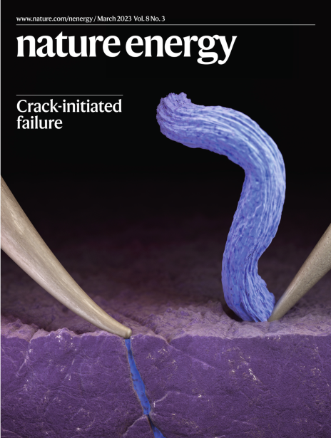 Subscribe to Nature Energy