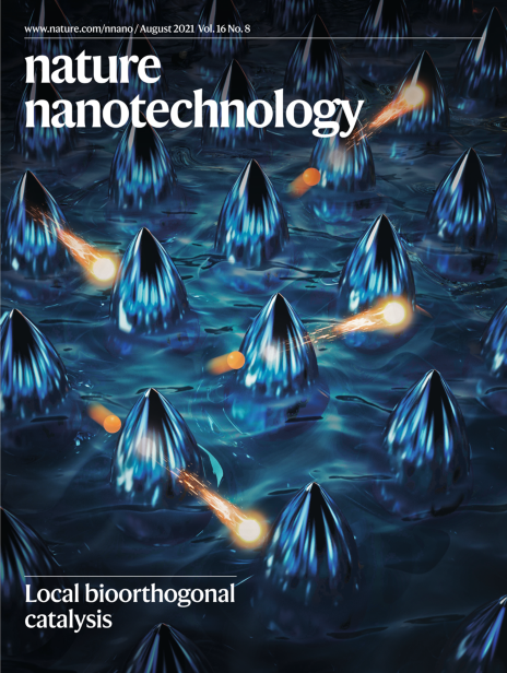 Subscribe to Nature Nanotechnology