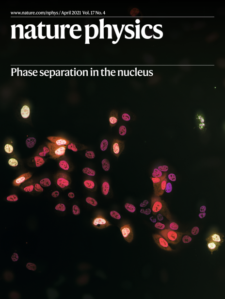 Subscribe to Nature Physics