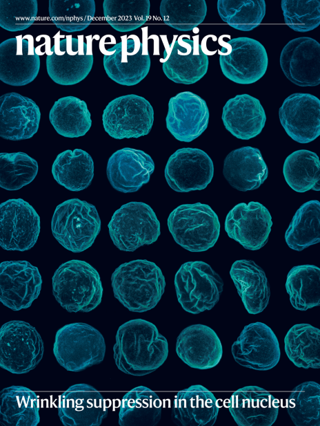 Subscribe to Nature Physics