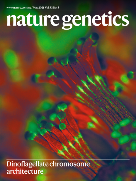 Subscribe to Nature Genetics