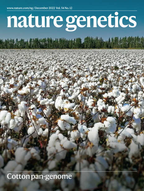 Subscribe to Nature Genetics