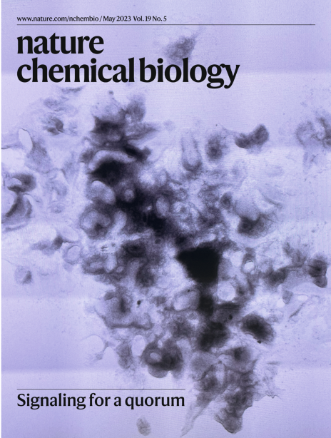 Subscribe to Nature Chemical Biology