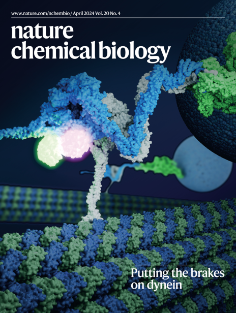 Subscribe to Nature Chemical Biology
