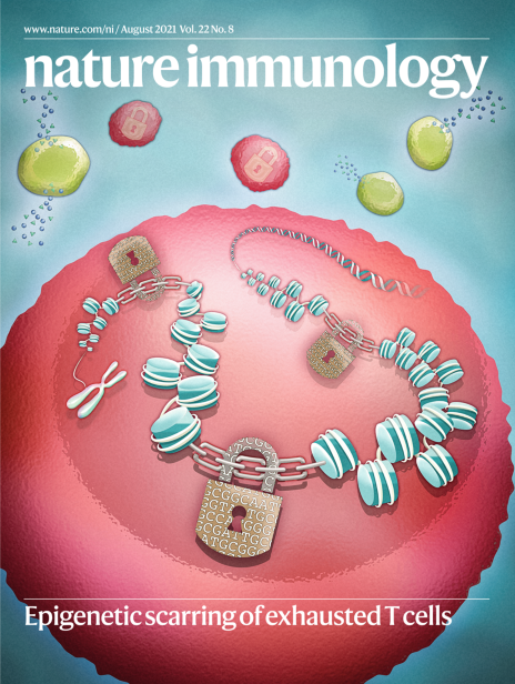 Subscribe to Nature Immunology