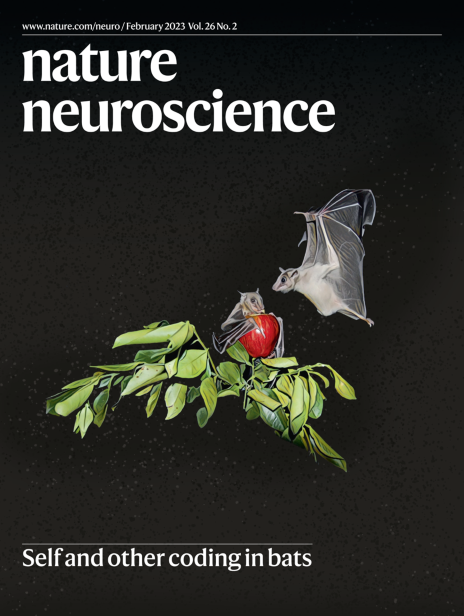 Subscribe to Nature Neuroscience