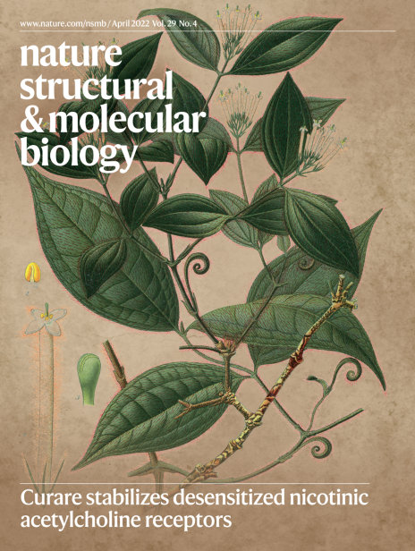 Subscribe to Nature Structural & Molecular Biology