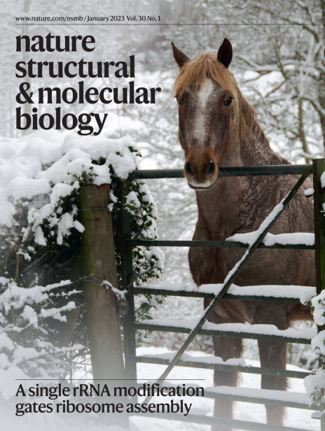 Subscribe to Nature Structural & Molecular Biology