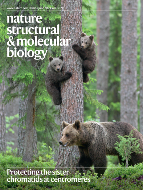 Subscribe to Nature Structural & Molecular Biology
