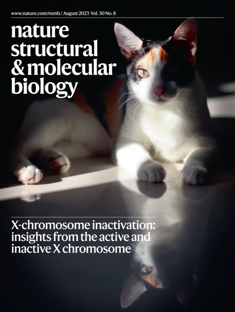 Subscribe to Nature Structural & Molecular Biology