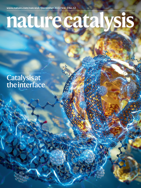 Subscribe to Nature Catalysis