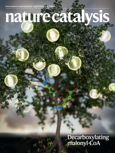 Subscribe to Nature Catalysis