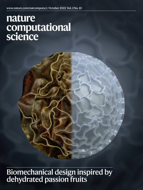 Subscribe to Nature Computational Science