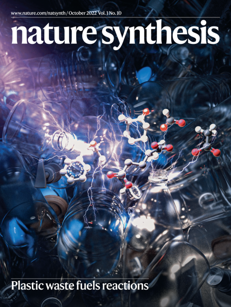 Subscribe to Nature Synthesis