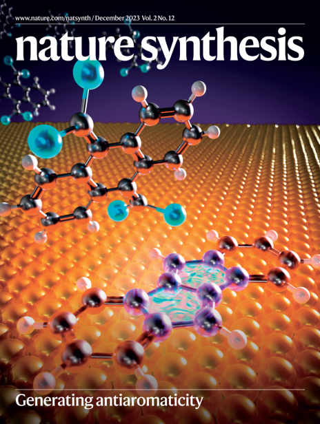 Subscribe to Nature Synthesis