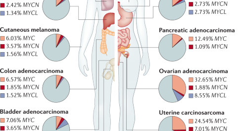 Nature Reviews Clinical Oncology