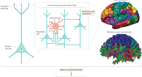 Nature Reviews Neuroscience